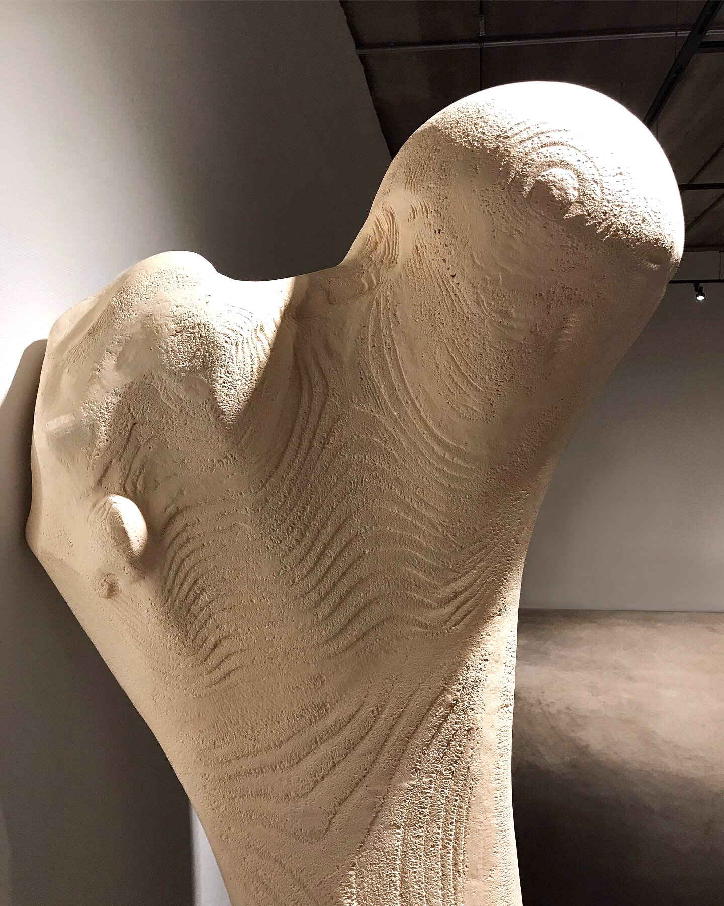 Jefferson's Bone – Bri Murphy